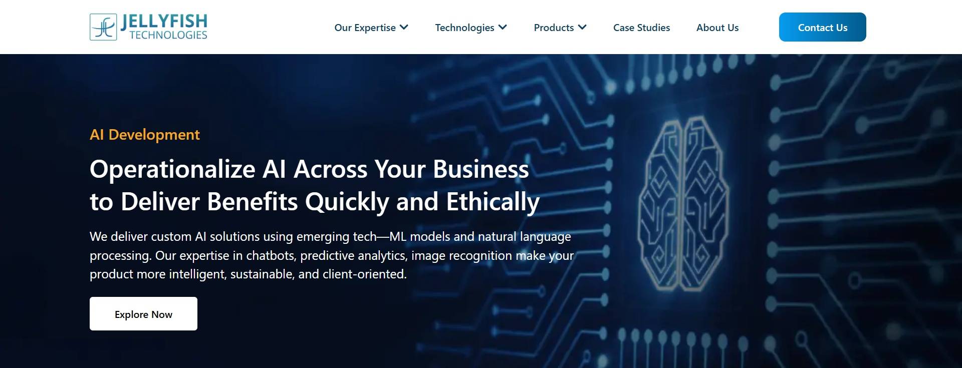 Top 15 Software Development Outsourcing Companies